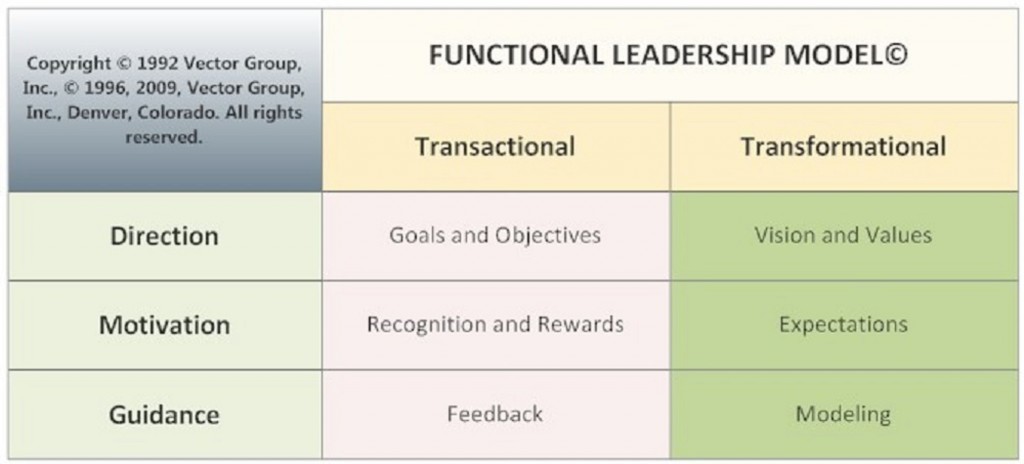 Cultural Due Diligence - Functional Leadership Model